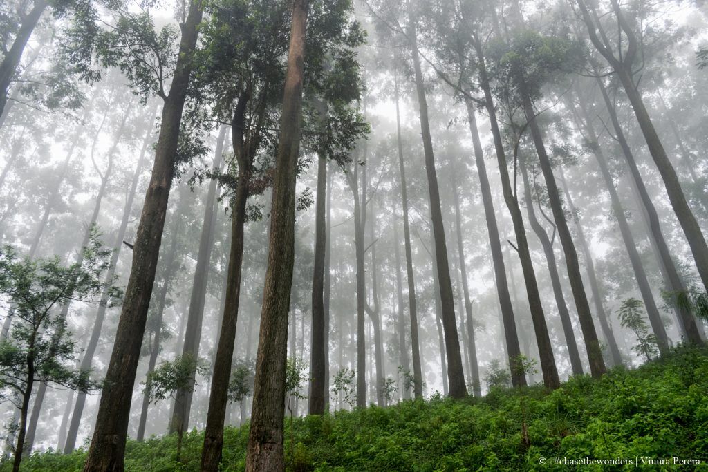 Chariot Path by Ravana and Seetha - Camping at Misty Mountains | Chase ...